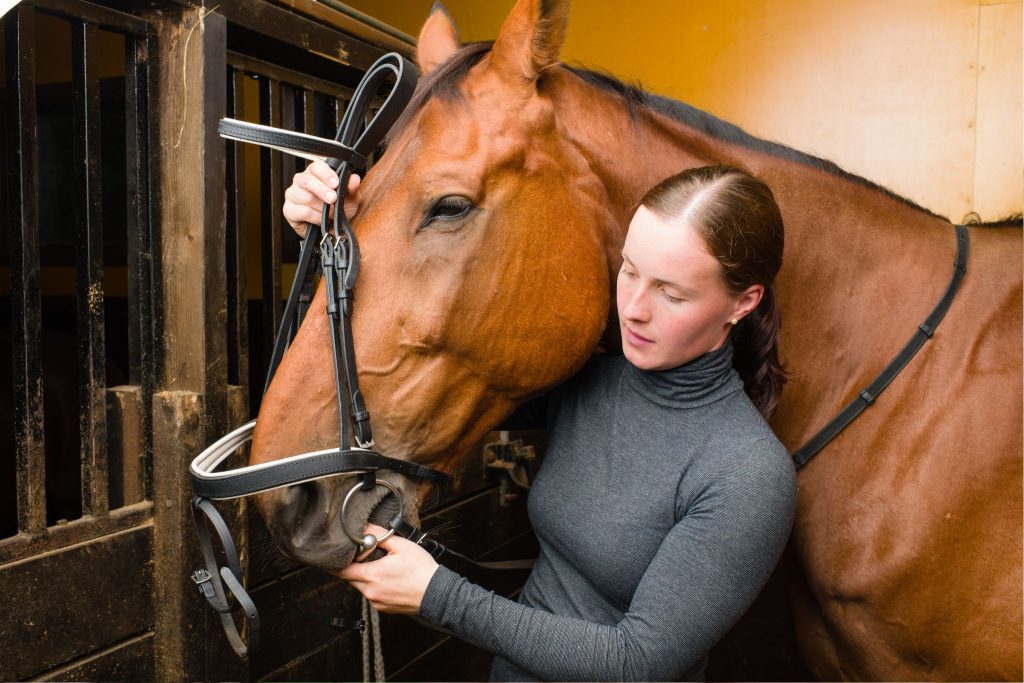Horse Care: A Comprehensive Approach to Equine Well-being - CelebsToWiki